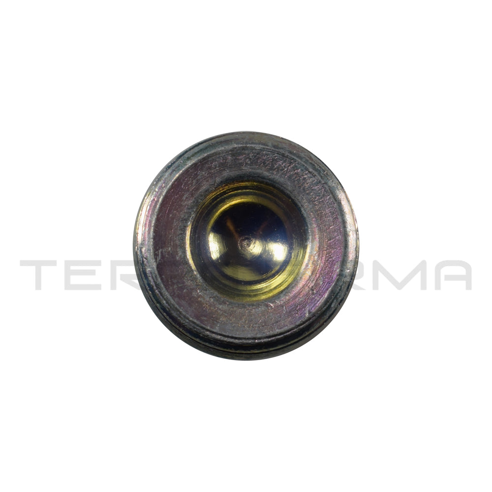 Nissan Skyline R32 GTR/GTS4 Rear Drive Differential Fill Plug – Terra ...